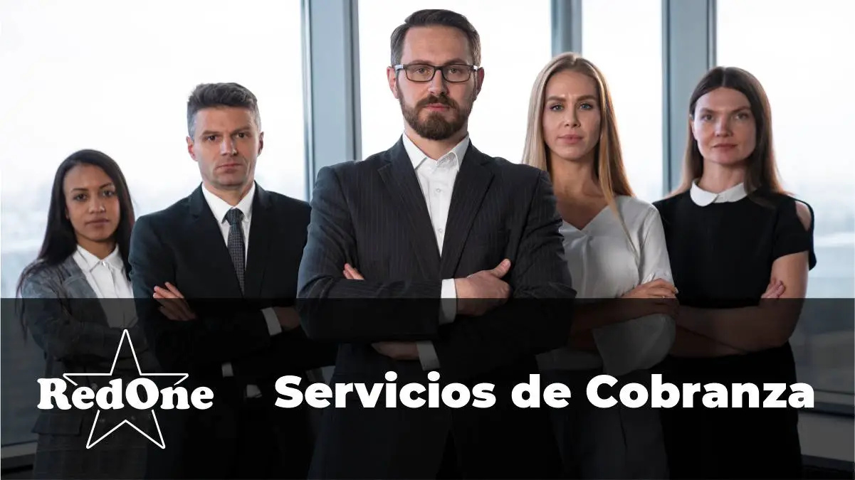Servicios de Cobranza - RedOne